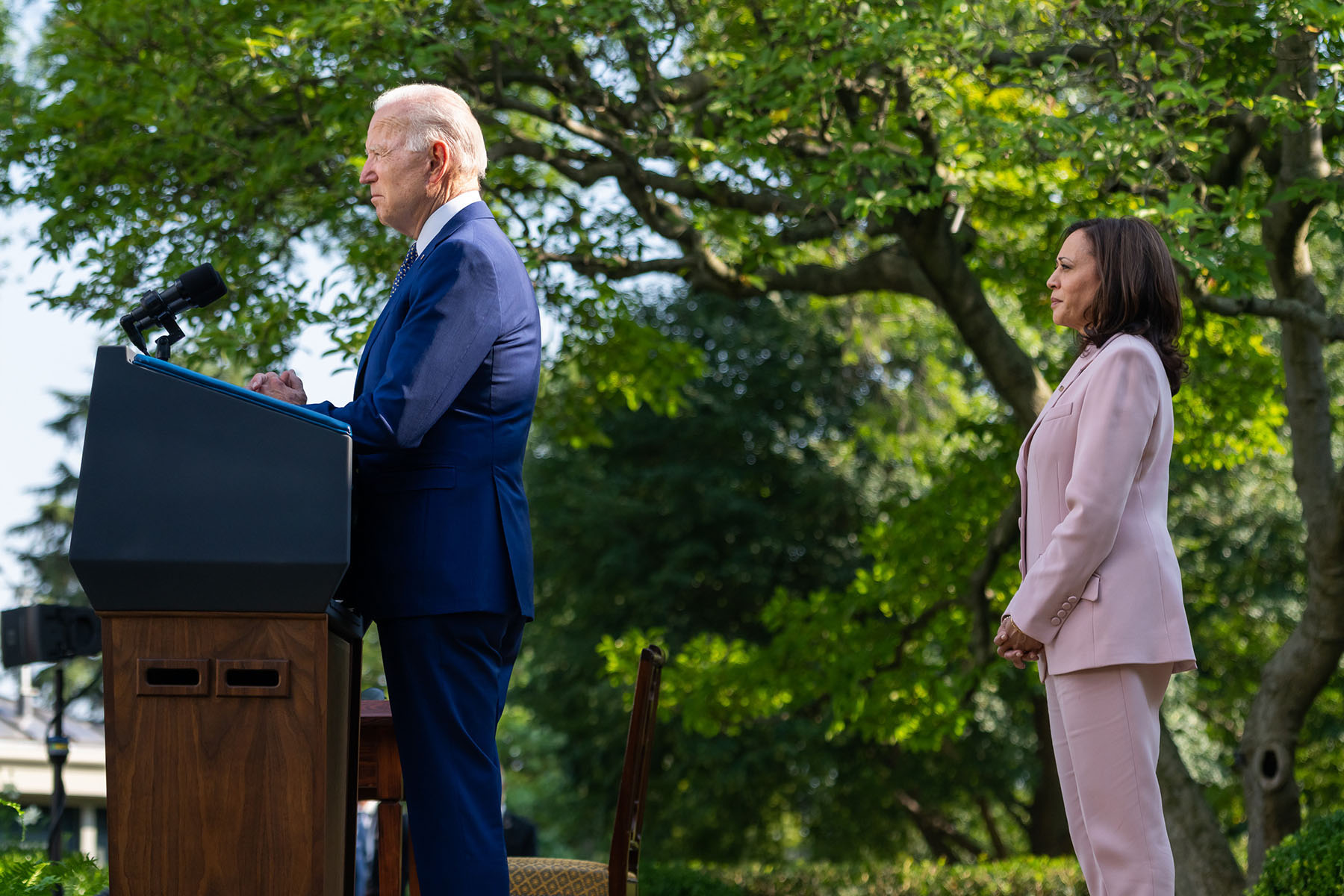 Kamala Harris campaign: The process of getting to the top of the ...
