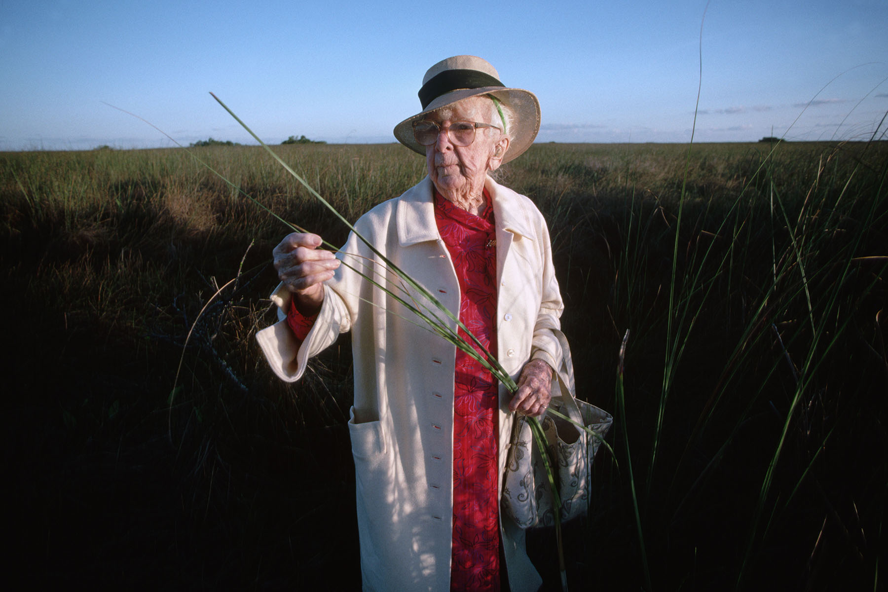 ‘Alligator Alcatraz’ location in Everglades has long been protected by ...