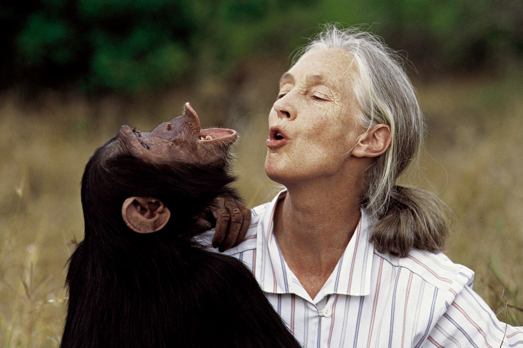 Jane Goodall, renowned wildlife conservationist, dies at age 91